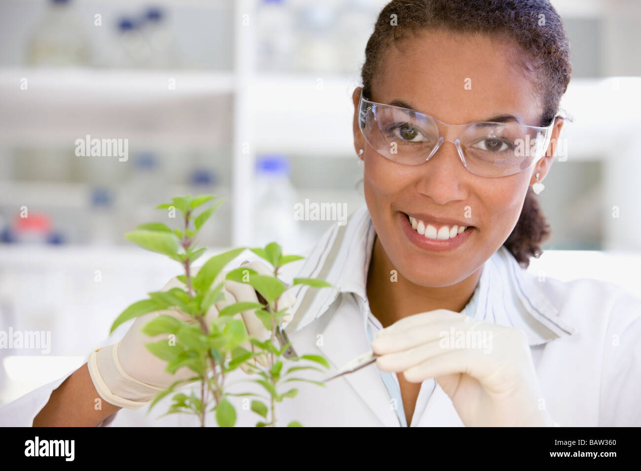Laboratory plant hi-res stock photography and images - Alamy