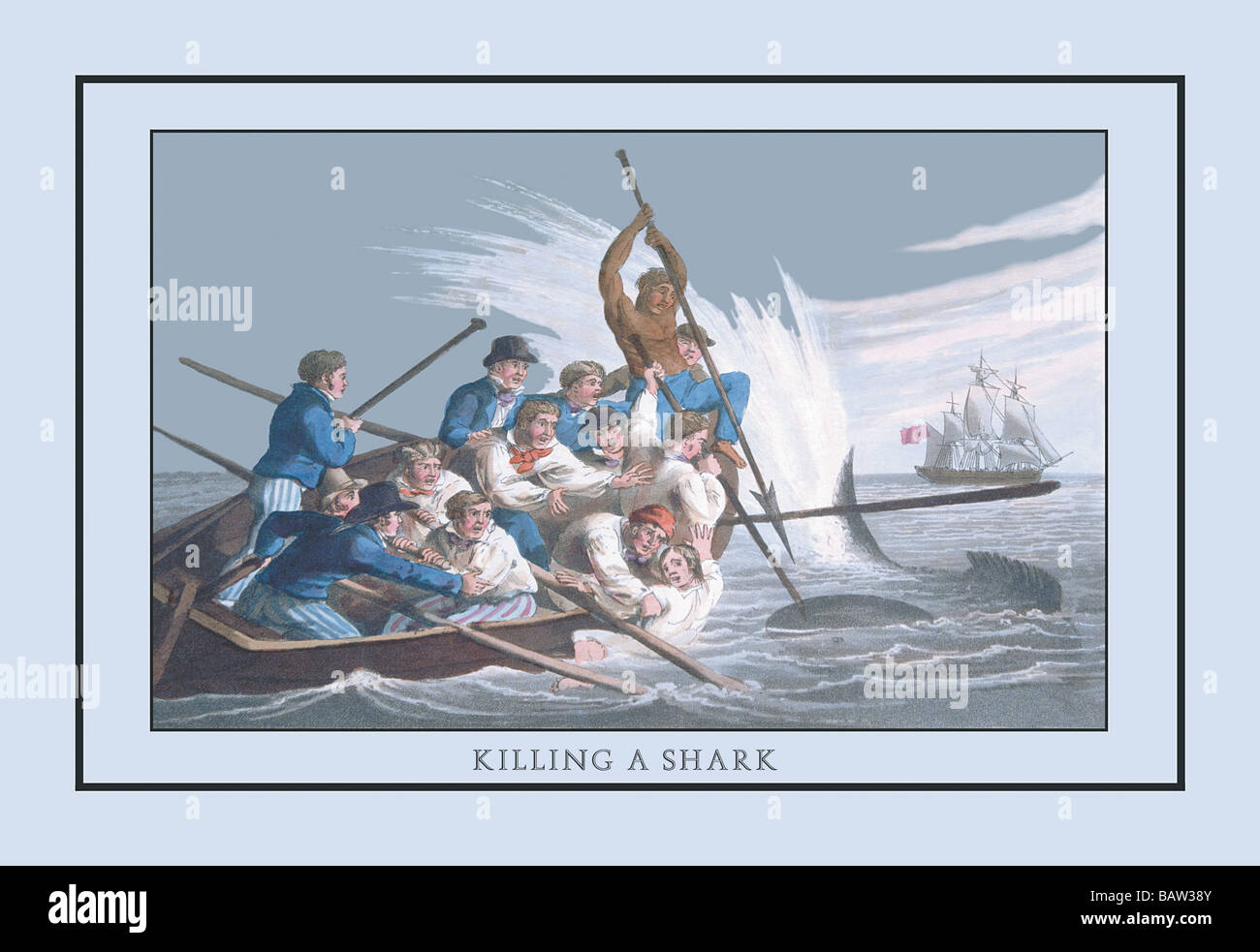 Killing a Shark Stock Photo - Alamy