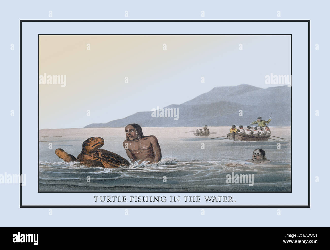 Turtle Fishing In The Water Stock Photo - Alamy