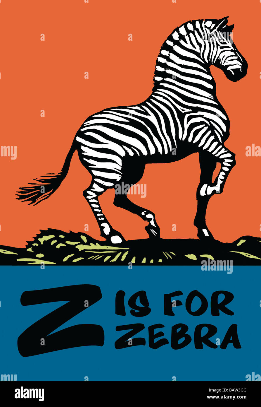 Z is for Zebra Stock Photo - Alamy