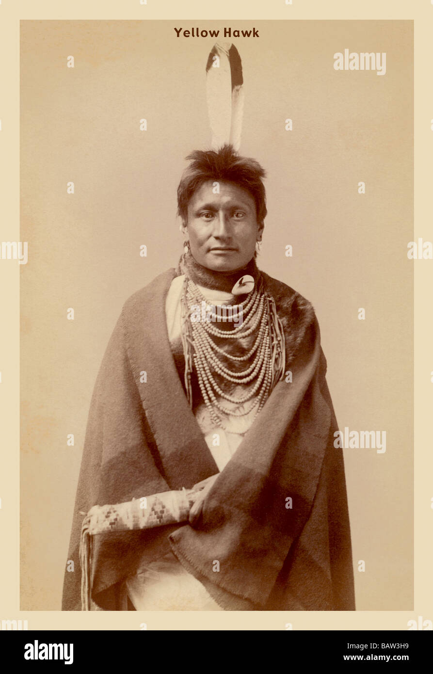 Chief yellow hawk hi-res stock photography and images - Alamy