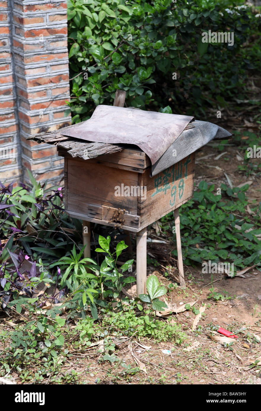 Flying wall honey bees hi-res stock photography and images - Alamy