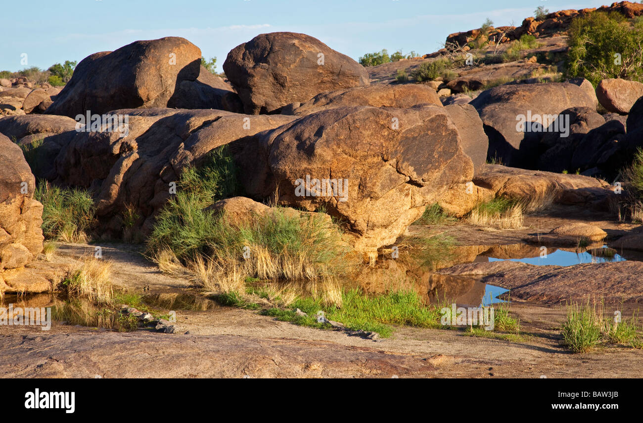 Puddel hi-res stock photography and images - Alamy