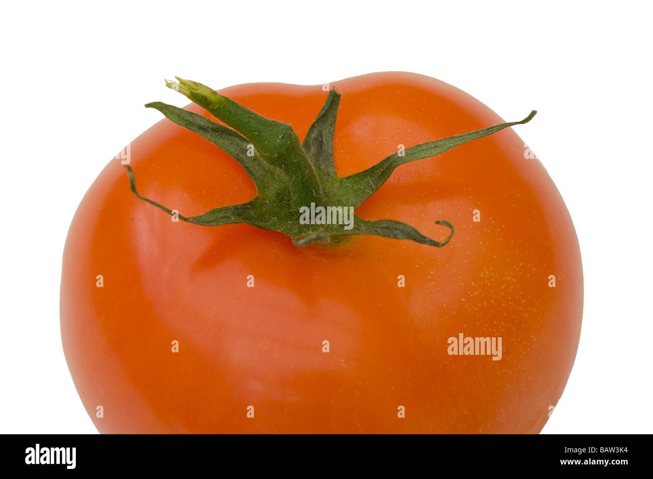 A red ripe tomato tomatoes Stock Photo - Alamy