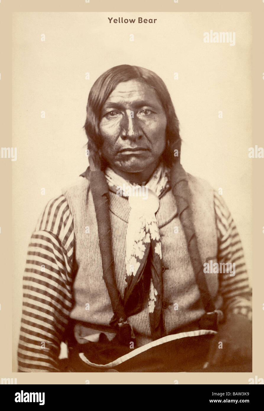 Chief yellow bear hi-res stock photography and images - Alamy