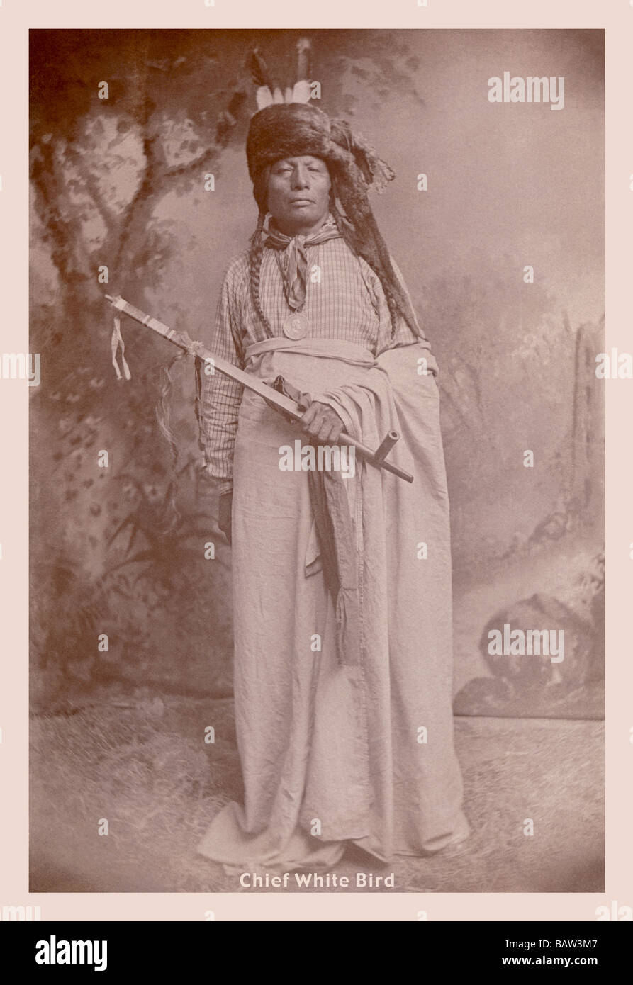 Tribe native american indian chief hi-res stock photography and images ...