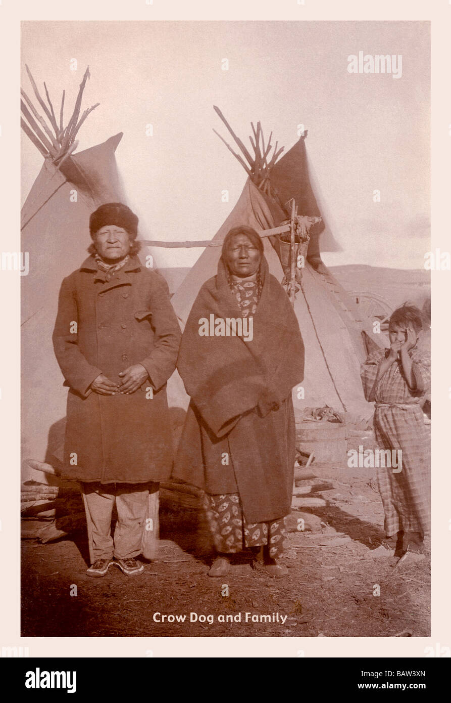 Native american indian dog hi-res stock photography and images - Alamy