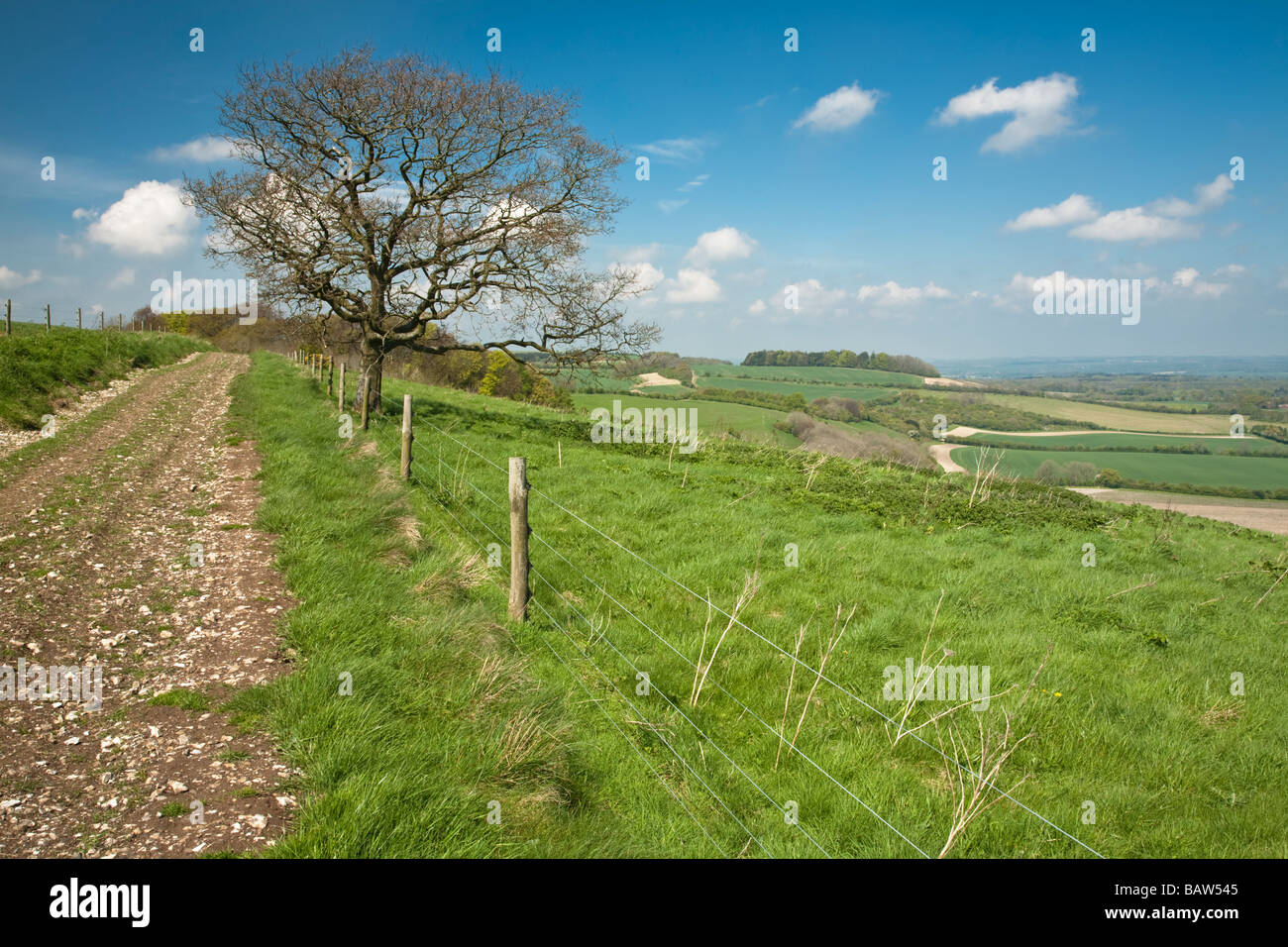 View from the Wayfarers Way path over West Berkshire from between the ...