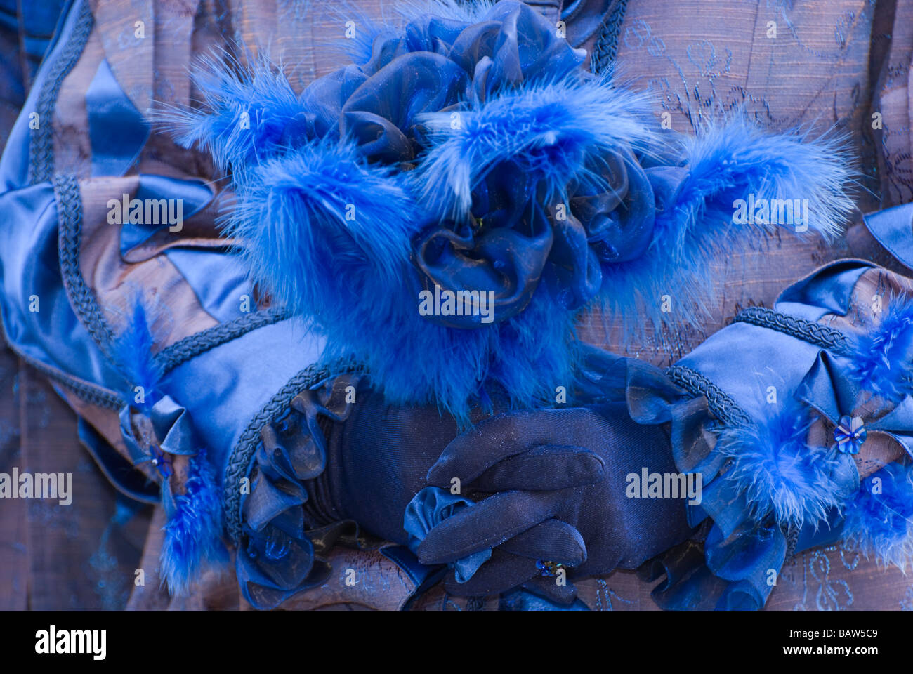 Close up of two hands with blue plumes of Venice disguise Stock Photo ...