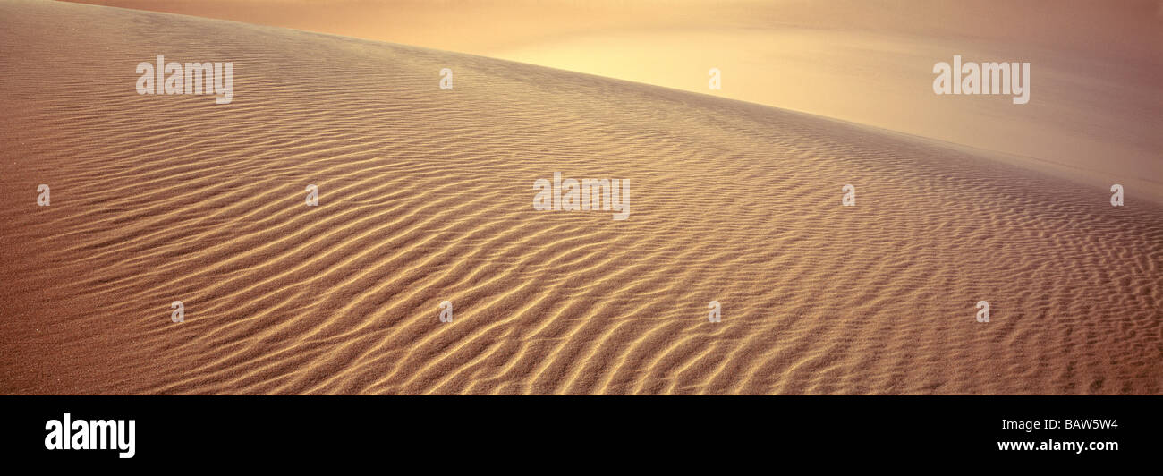 The wind carves intricate ripples in the sand dunes of California's ...