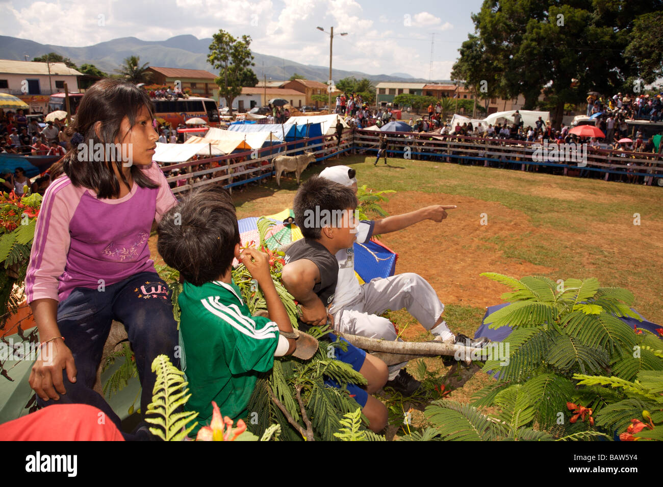 Bull riding hi-res stock photography and images - Alamy