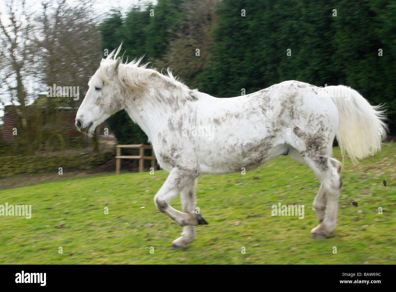 Mucky field hi-res stock photography and images - Alamy