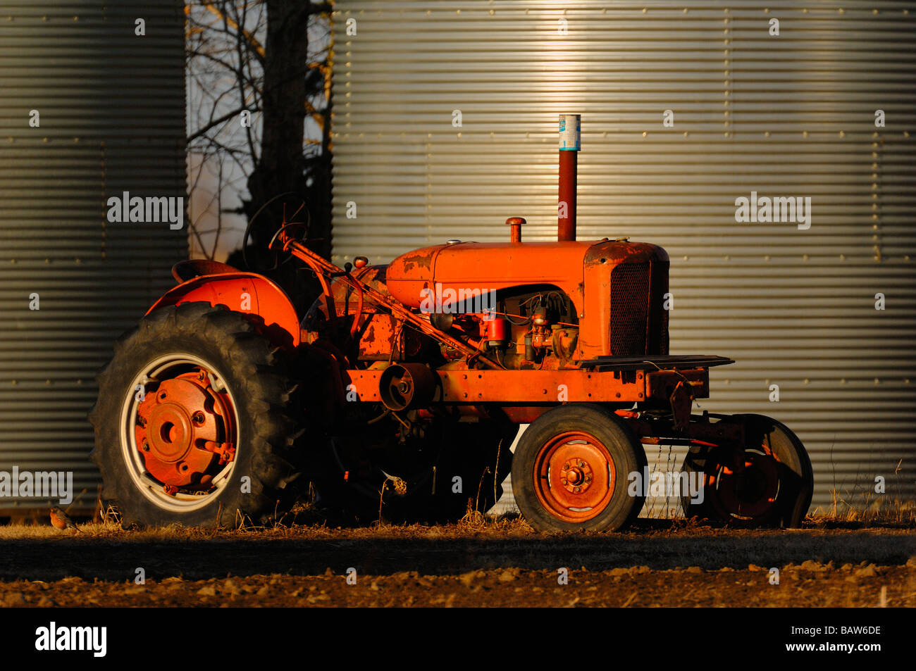 Gas powered farm tractor hi-res stock photography and images - Alamy