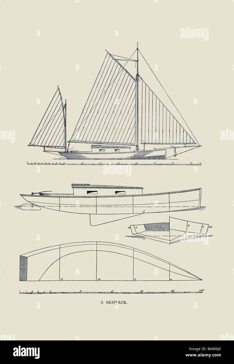 Skip jack hi-res stock photography and images - Alamy