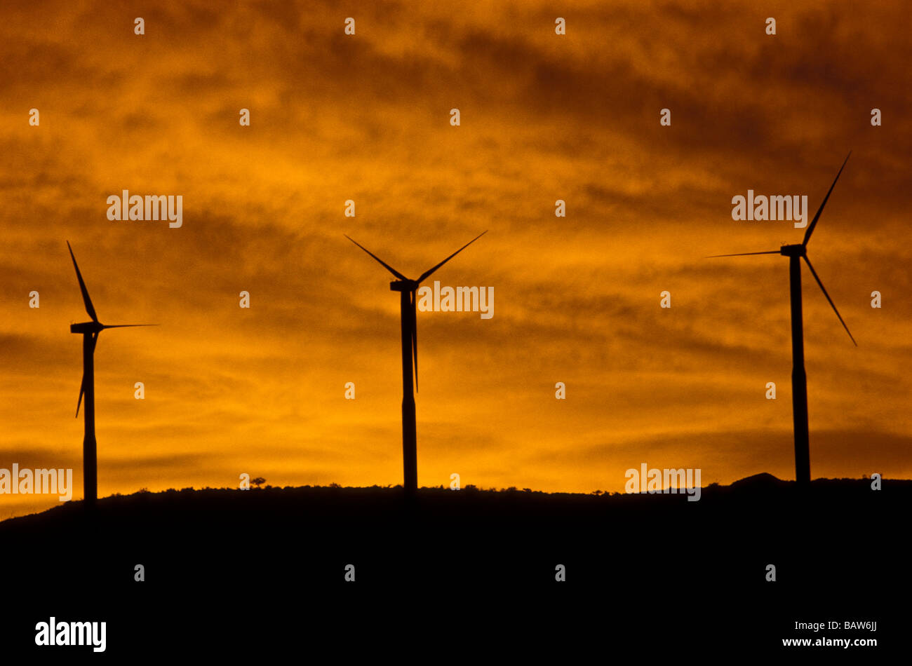 Solar power plant and wind farm in the background hi-res stock ...