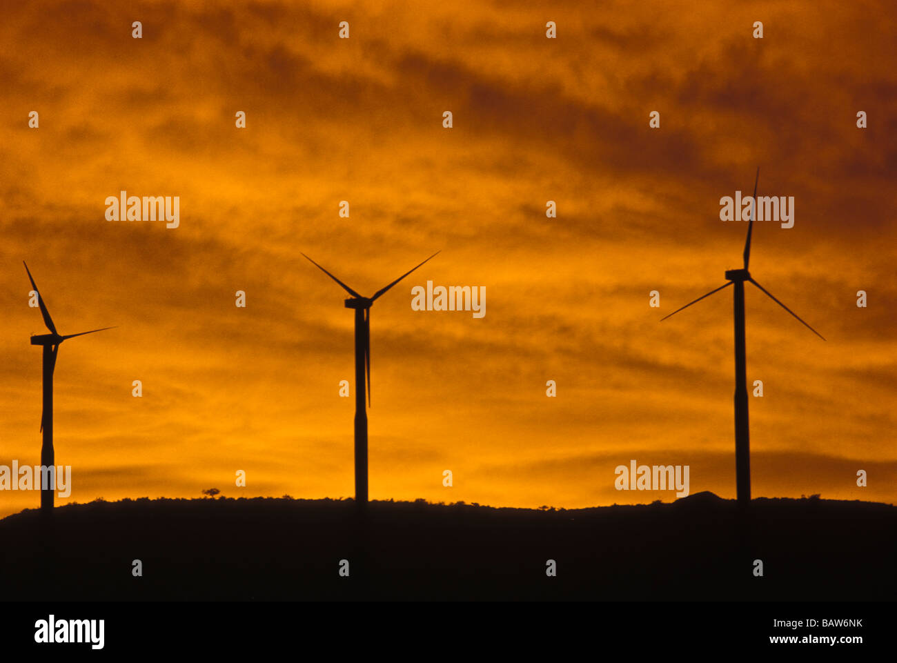 Wind Farm in Pecos County, Texas Stock Photo - Alamy