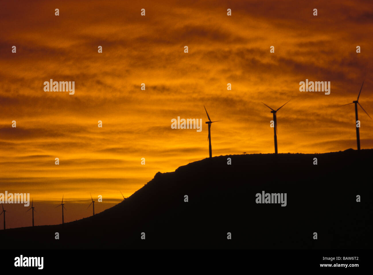 Wind Farm in Pecos County, Texas Stock Photo - Alamy