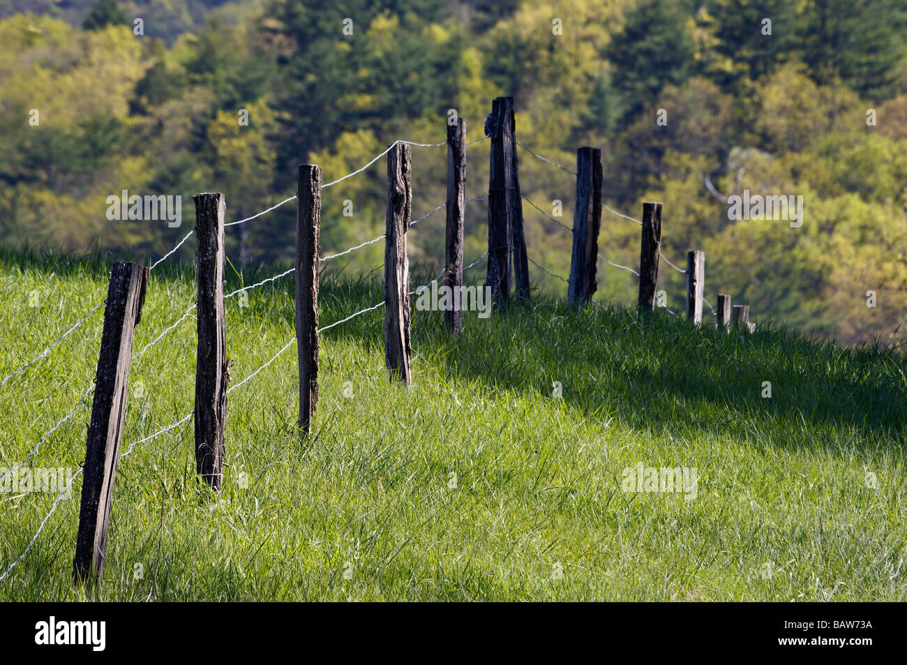Wire Fence and Rustic Fence Posts Running through Hilly Meadow in Cades ...