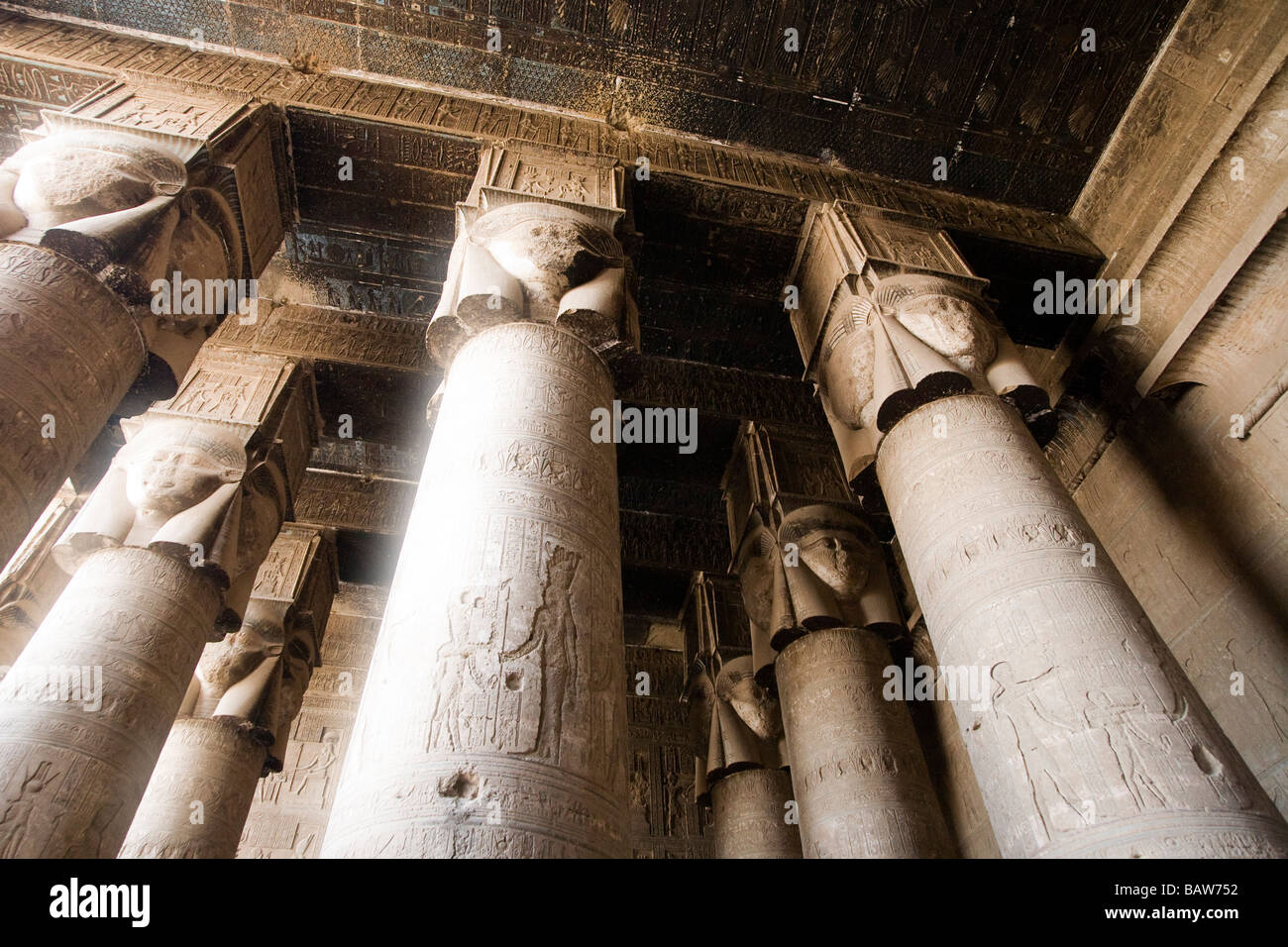 Looking to the ceiling, supported by Hathor headed columns of the ...