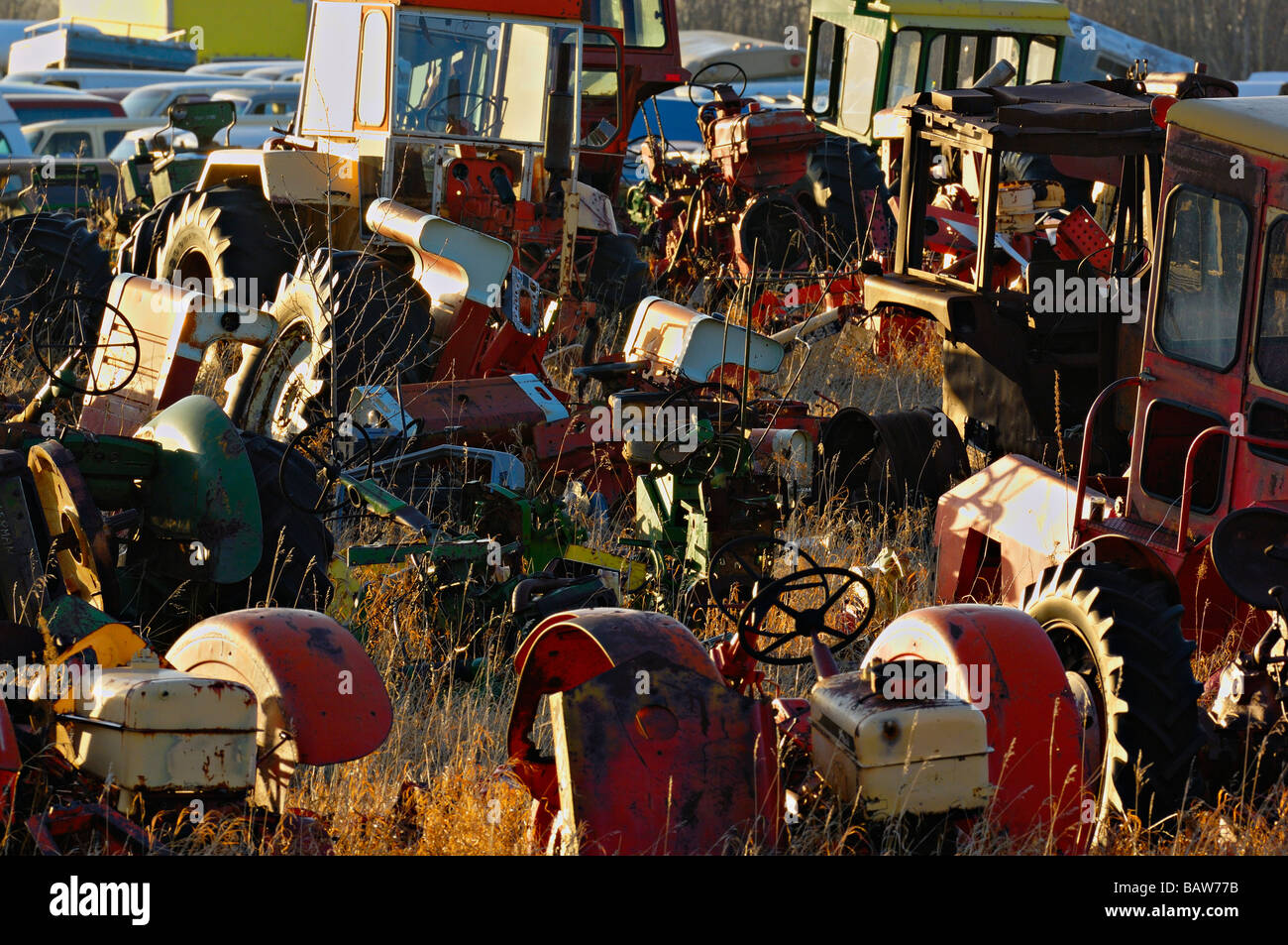 Tractor Graveyard 09362 Stock Photo - Alamy