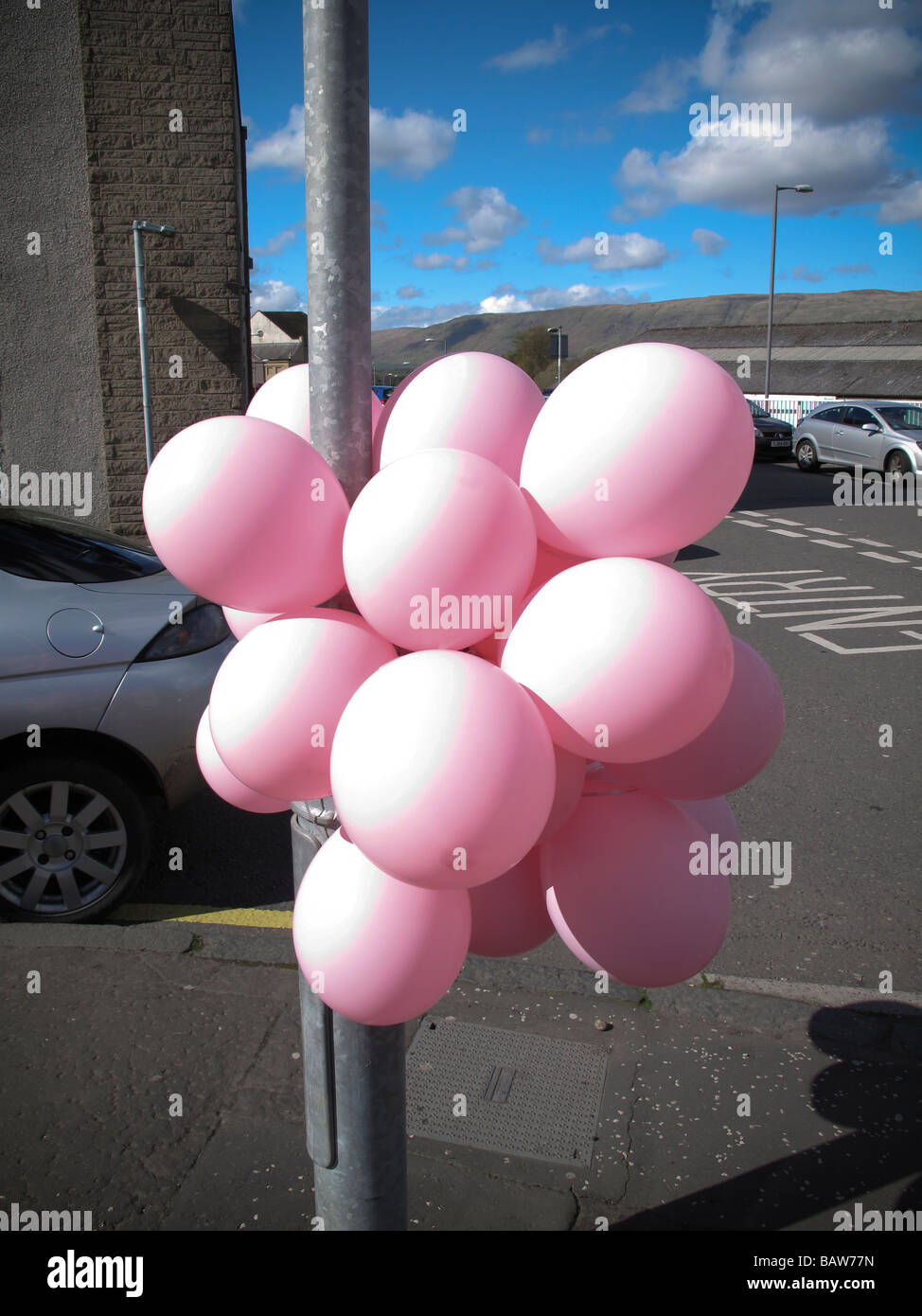 Pink balloons advertising charity event Stock Photo - Alamy