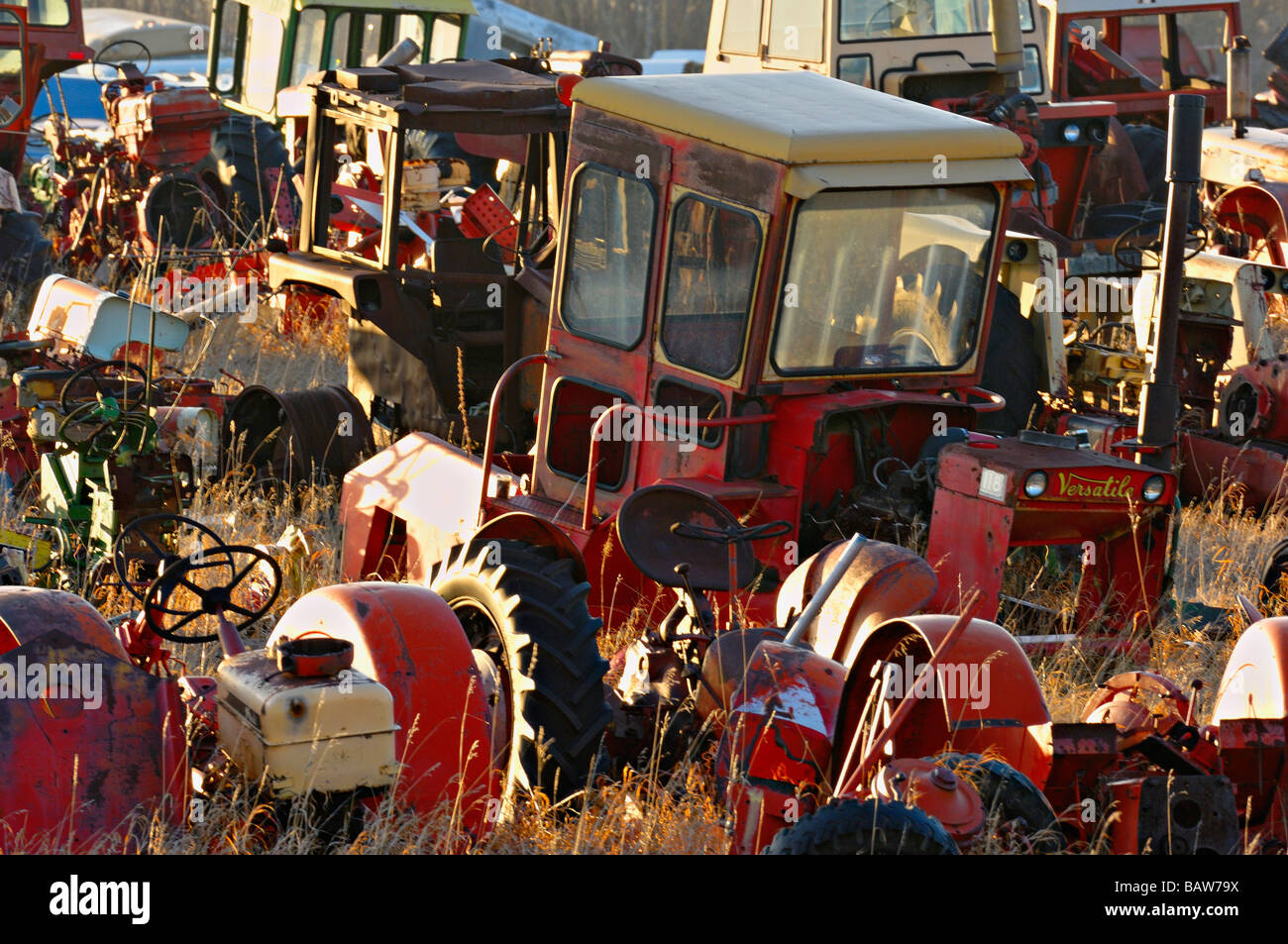 Tractor Graveyard 09374 Stock Photo - Alamy