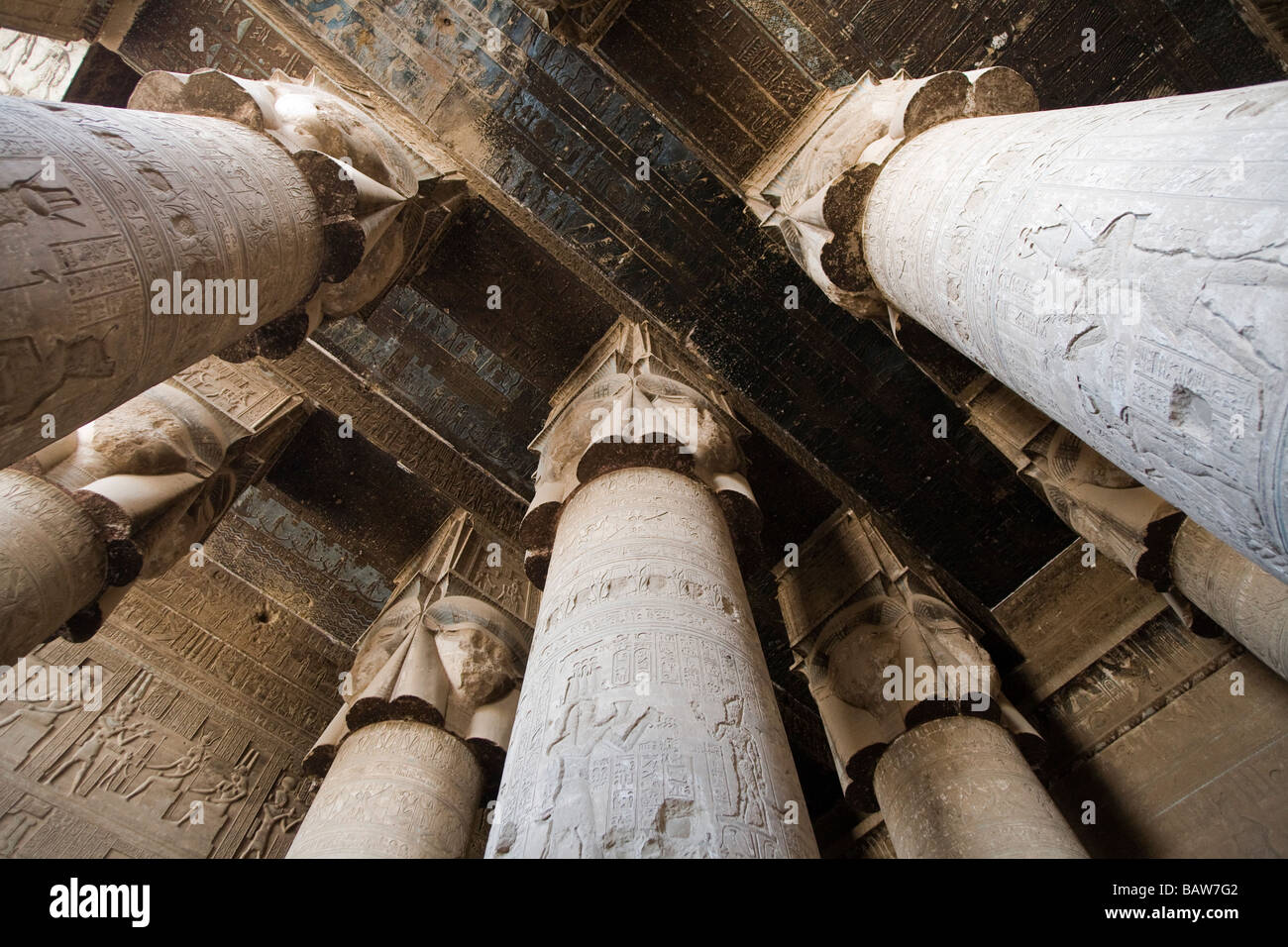 Looking to the ceiling, supported by Hathor headed columns of the ...