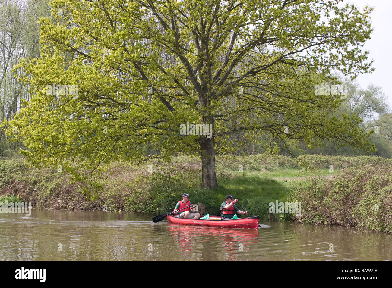training trainee canadian canoeist canoe canoeing river medway kent ...