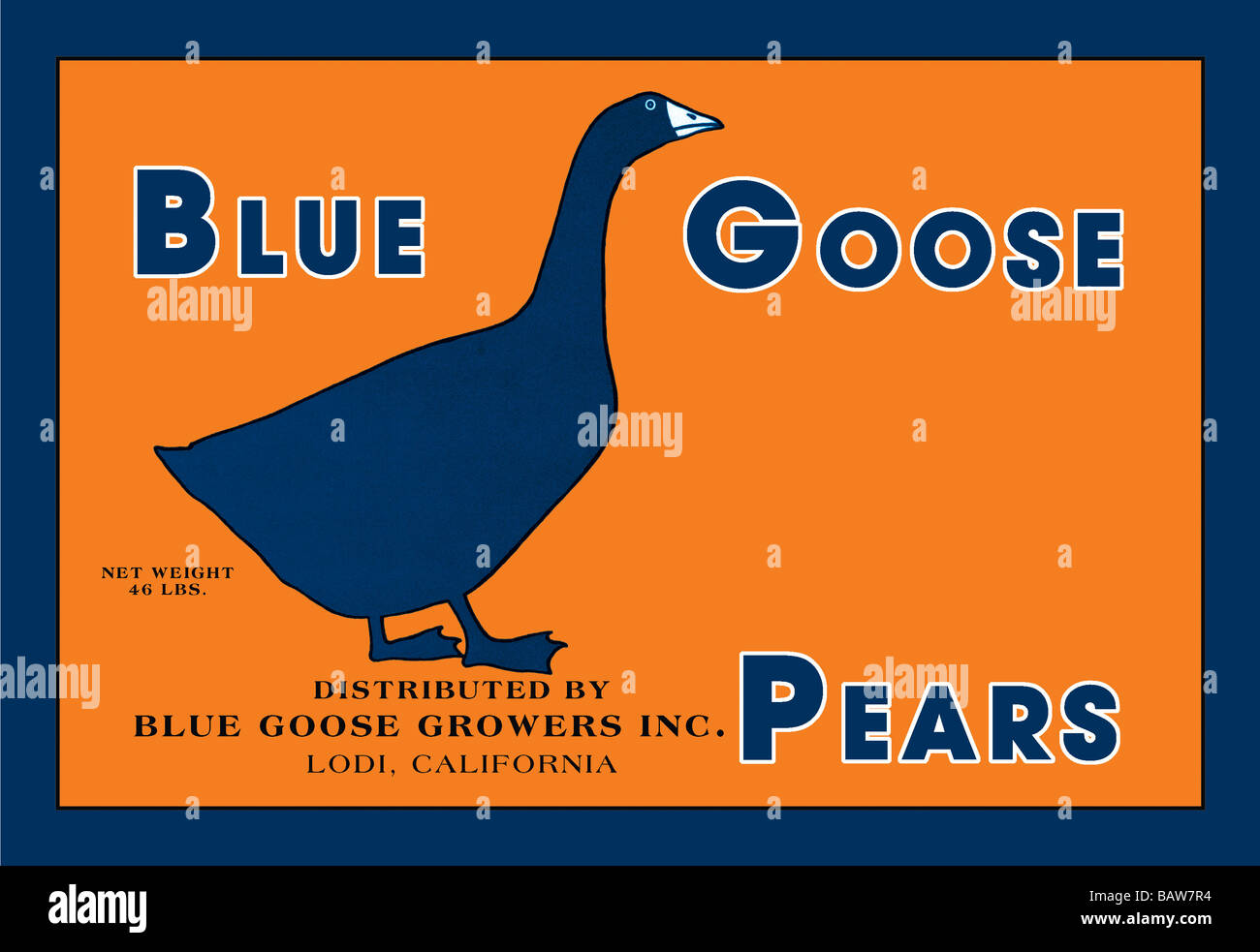 Blue Goose Pears Stock Photo - Alamy