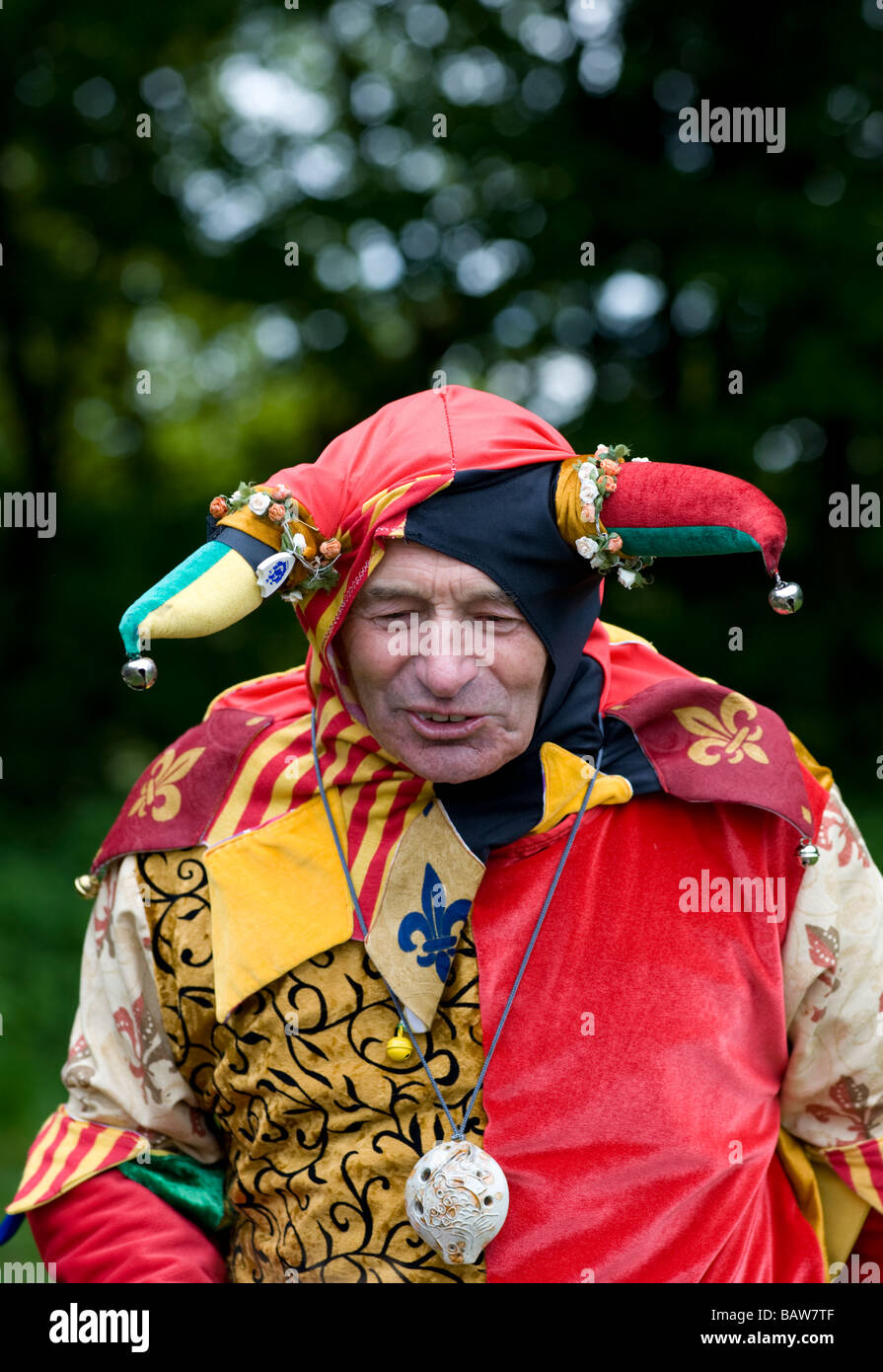 Medieval court jester hi-res stock photography and images - Alamy