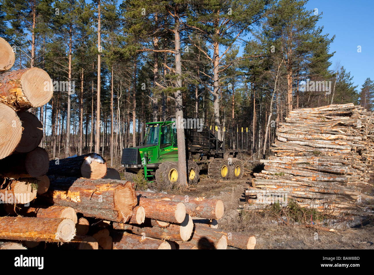 Forwarder Forest High Resolution Stock Photography and Images - Alamy