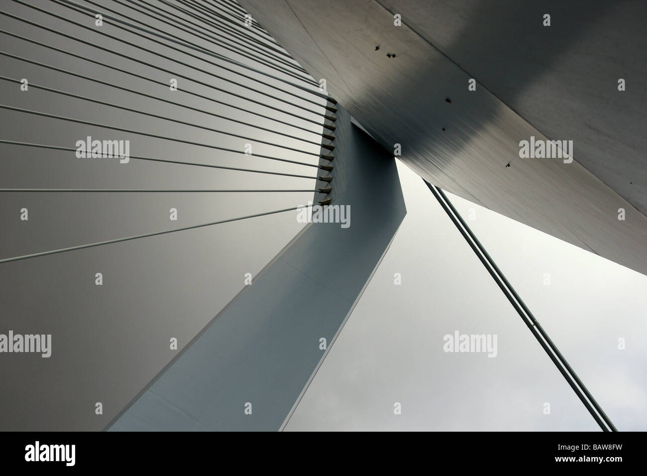 Pylon and support lines wires cables of Erasmus suspension bridge above ...