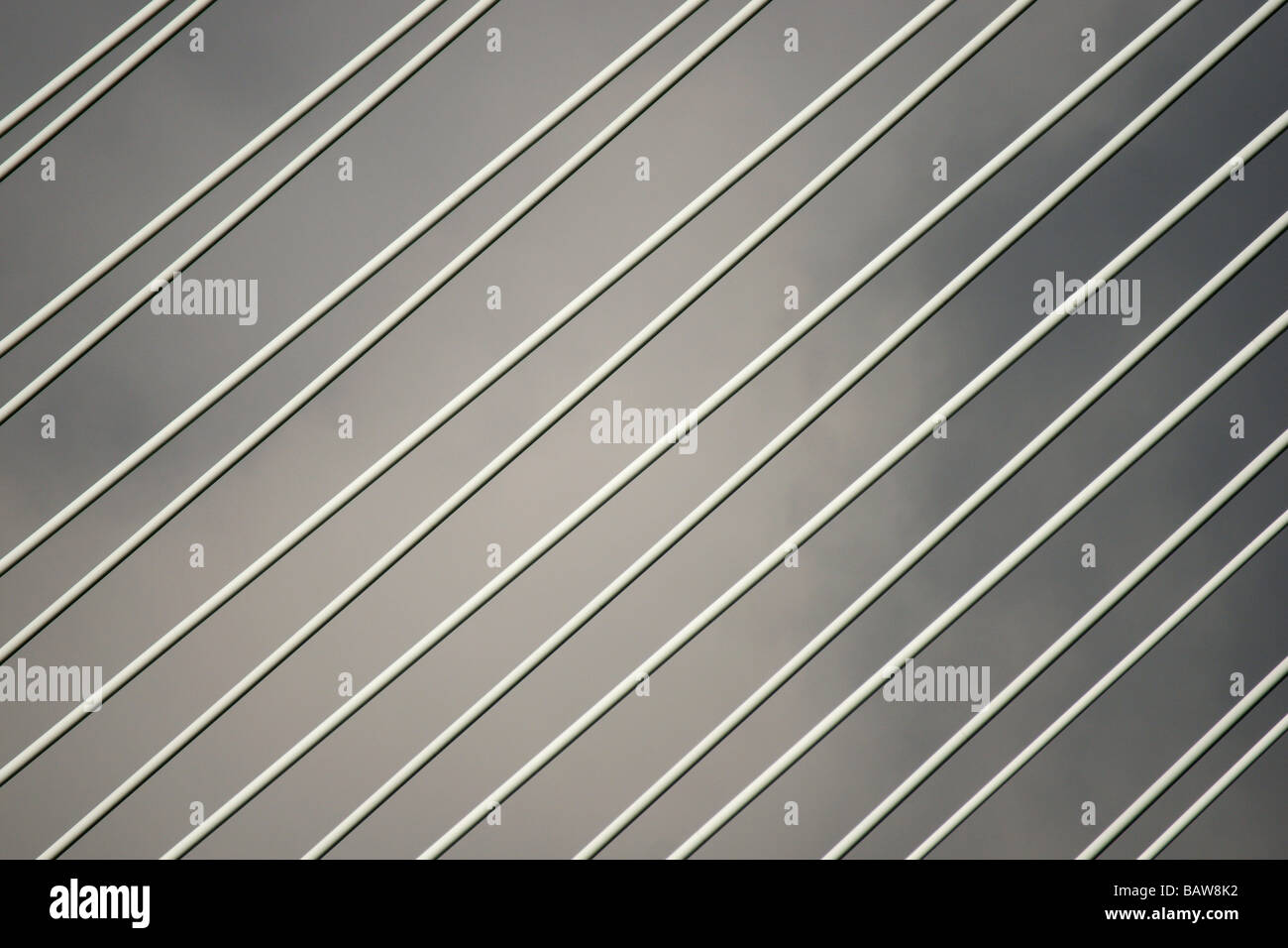 Diagonal ropes of Erasmus Bridge in Rotterdam, Netherlands, stylised ...