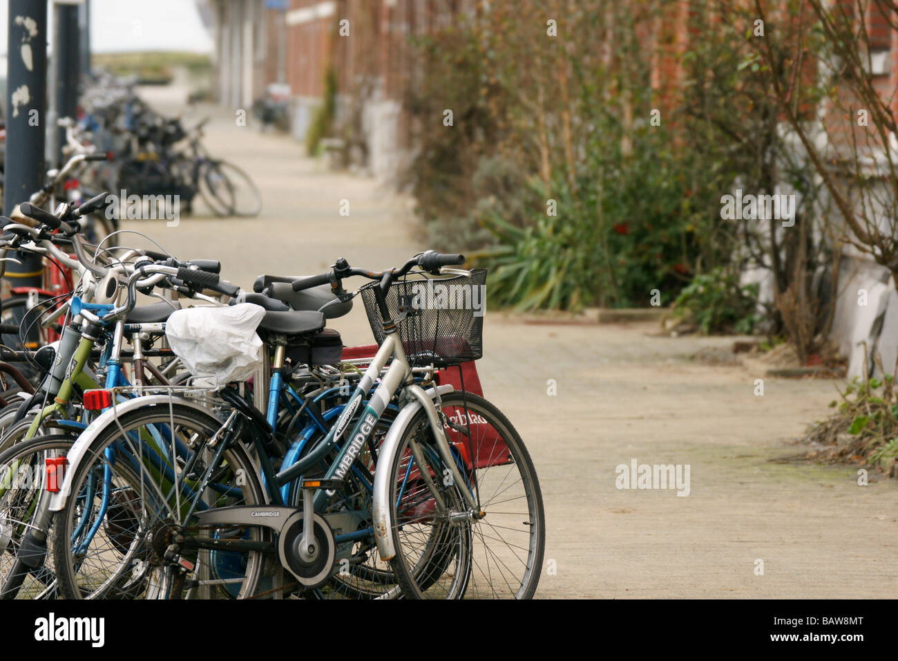 Dutch bicycles at Rotterdam Street standing still many parked ...