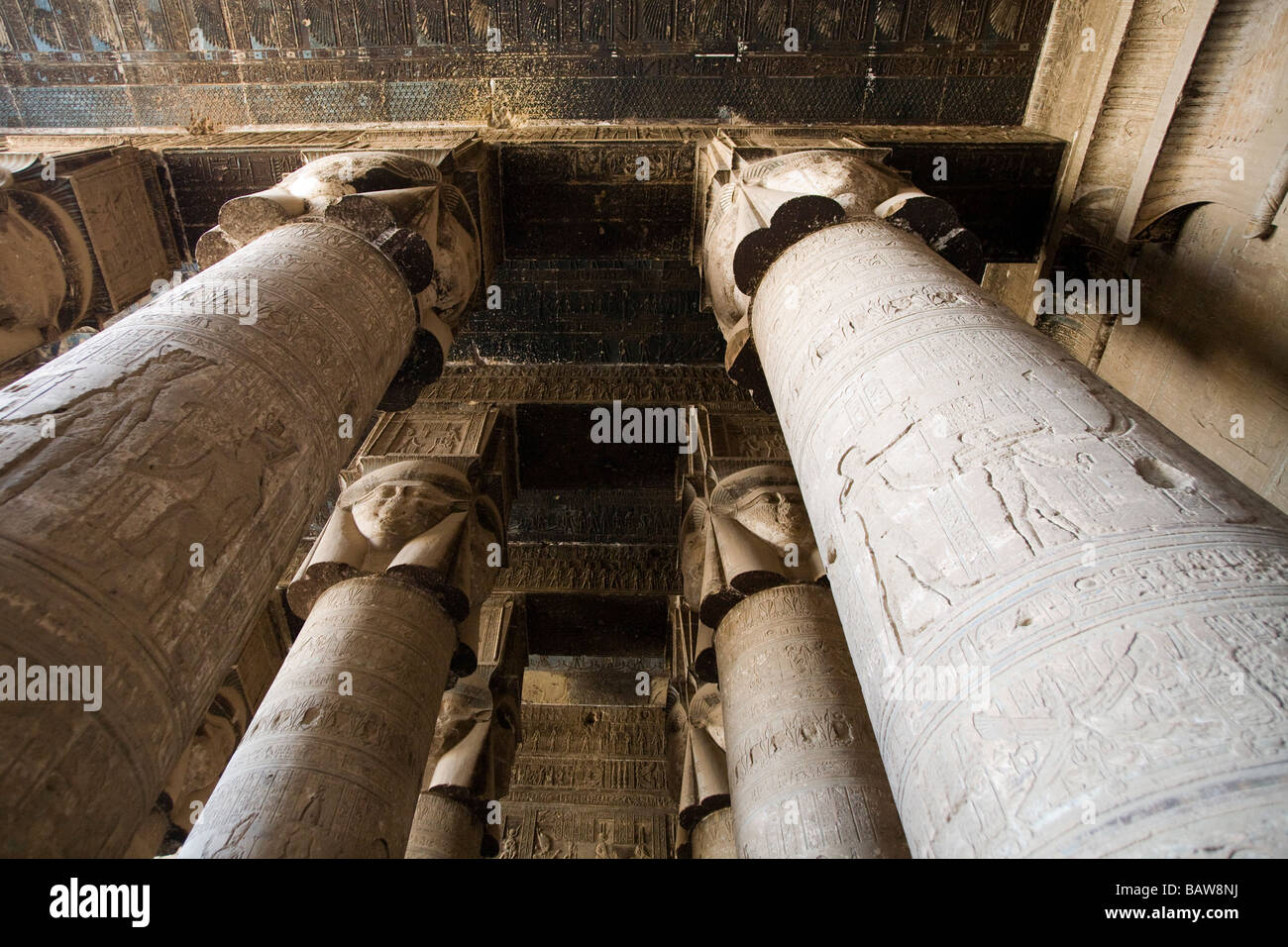Looking to the ceiling, supported by Hathor headed columns of the ...