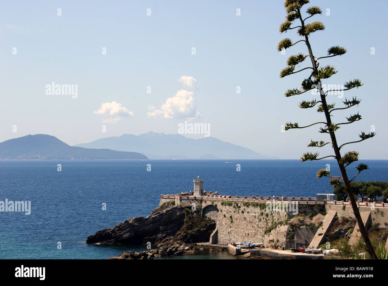 Piombino: Agave, wall, tower & Elba island Stock Photo - Alamy