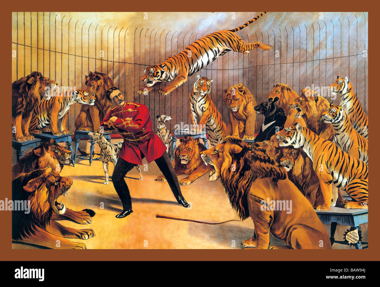 Lions are dangerous hi-res stock photography and images - Alamy