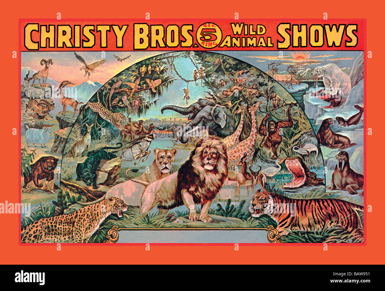 Christy Ring High Resolution Stock Photography and Images - Alamy