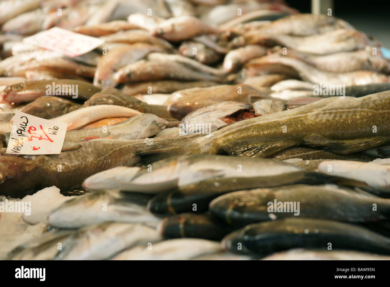 Fish market heap of fish in stall booth Rotterdam Netherlands Stock ...