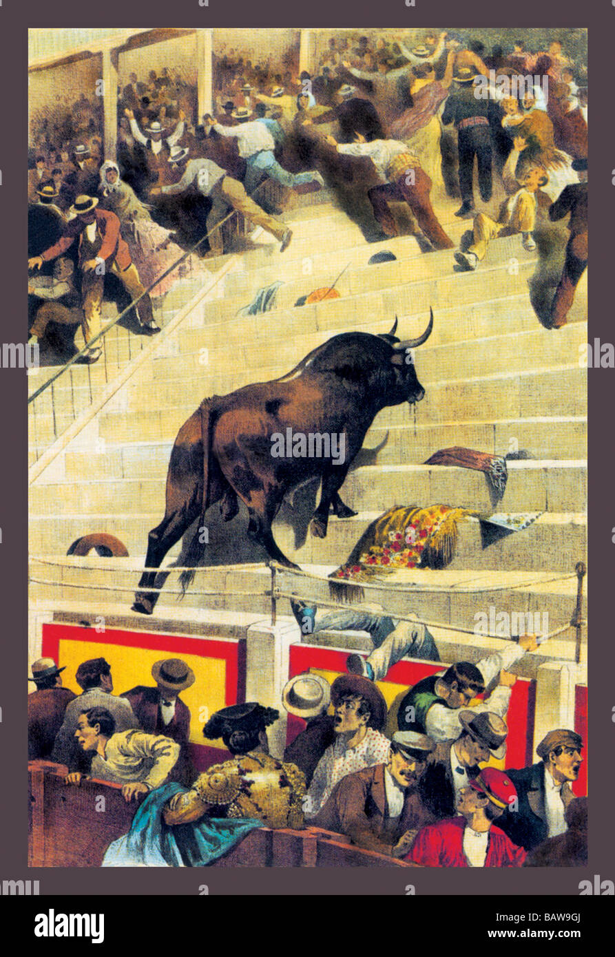 Bull of lidia hi-res stock photography and images - Alamy