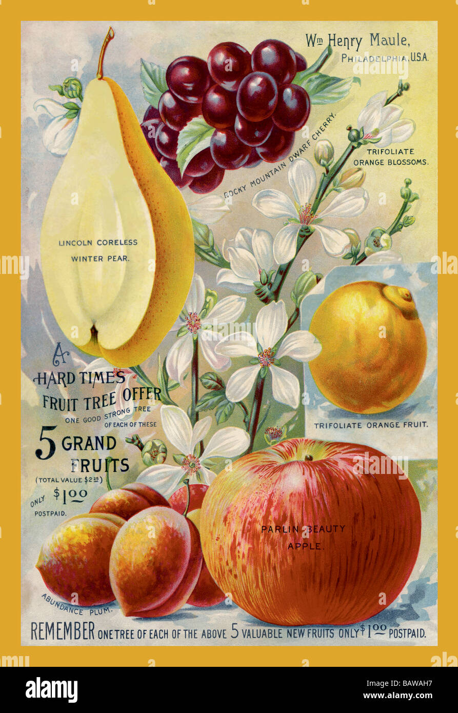 Burpee garden hi-res stock photography and images - Alamy