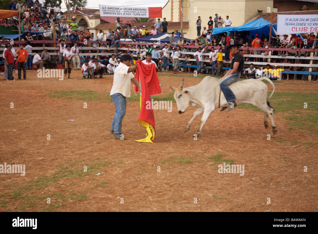 charging bull riding at a festival the town square bull-ring Apolo ...