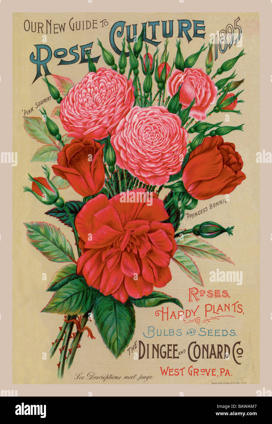 Our New Guide to Rose Culture,1895 Stock Photo - Alamy