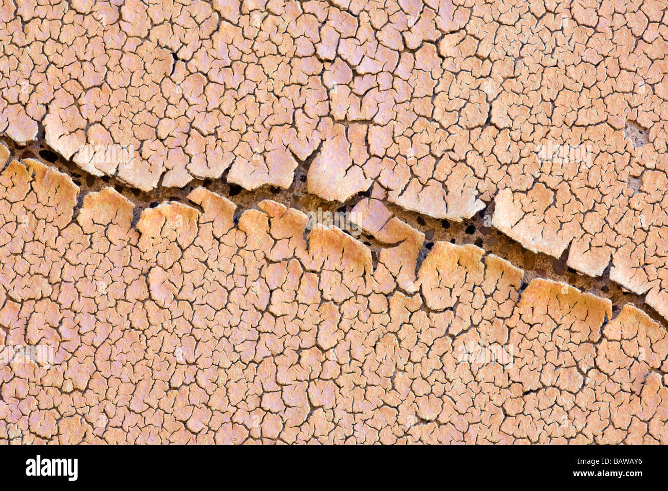 Desert namibia paint hi-res stock photography and images - Alamy