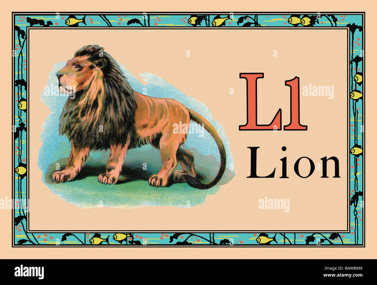 Lion animal alphabet hi-res stock photography and images - Alamy