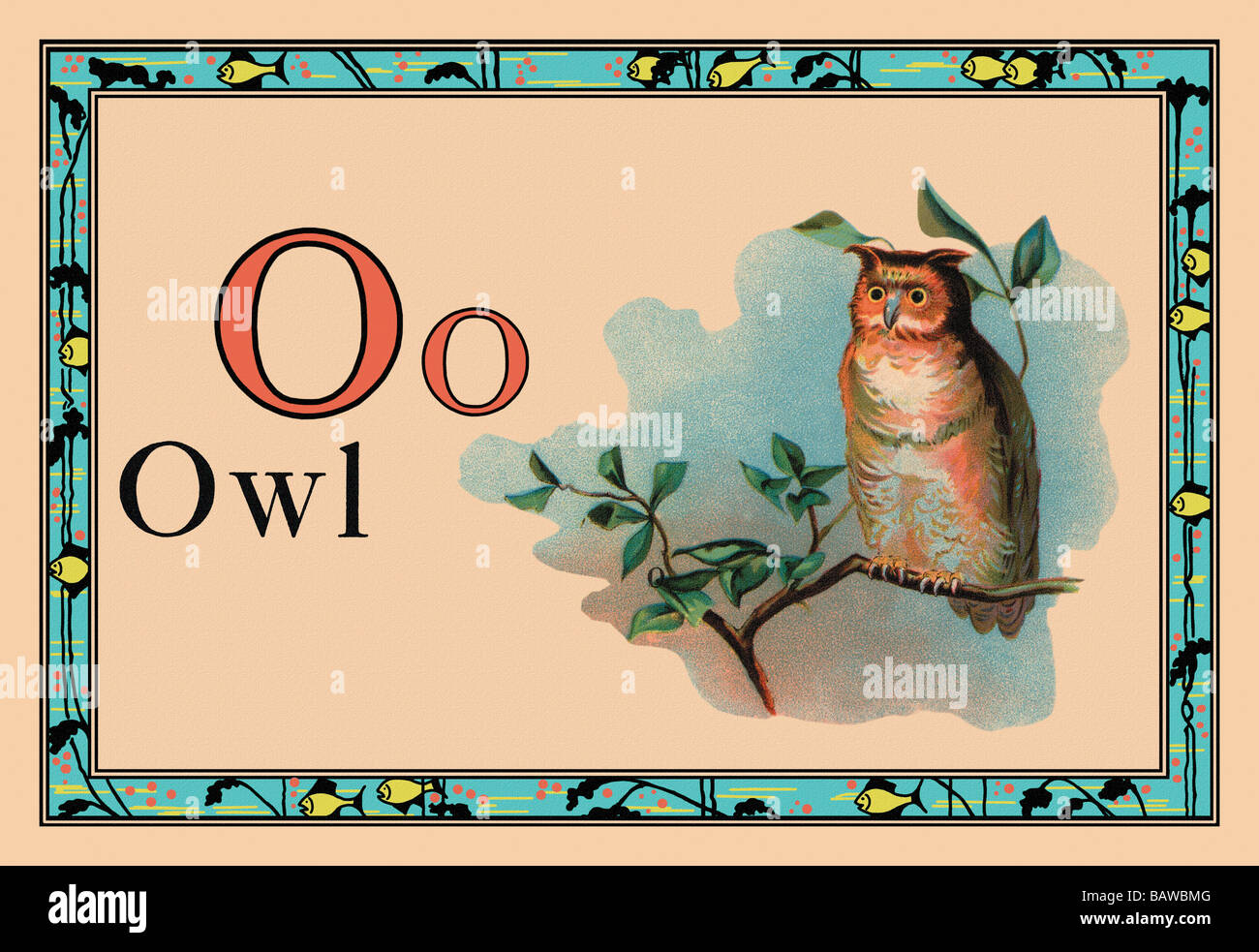 Owl alphabet hi-res stock photography and images - Alamy
