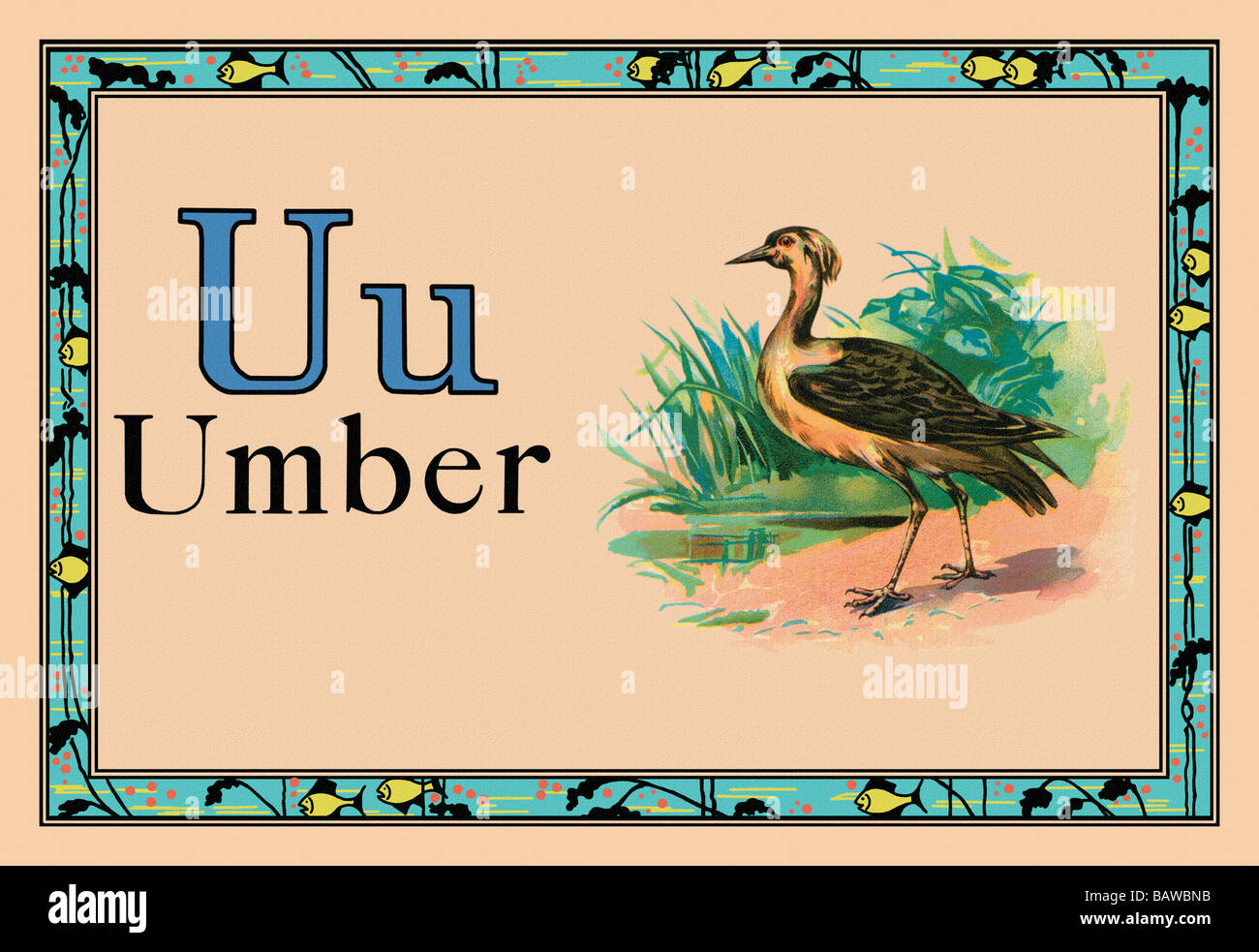 Animal alphabet hi-res stock photography and images - Alamy