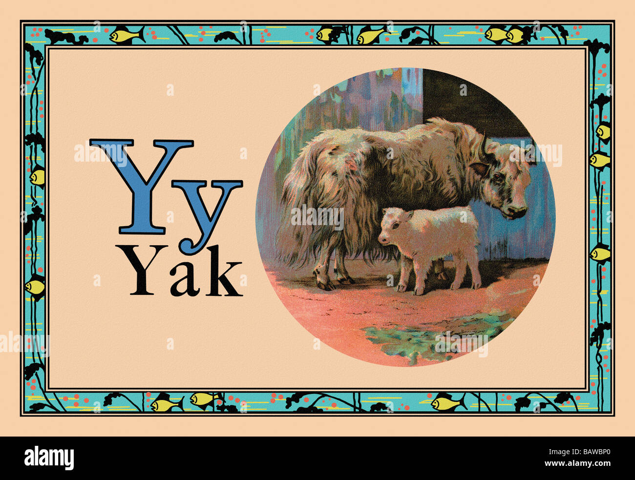 Yak baby child hi-res stock photography and images - Alamy