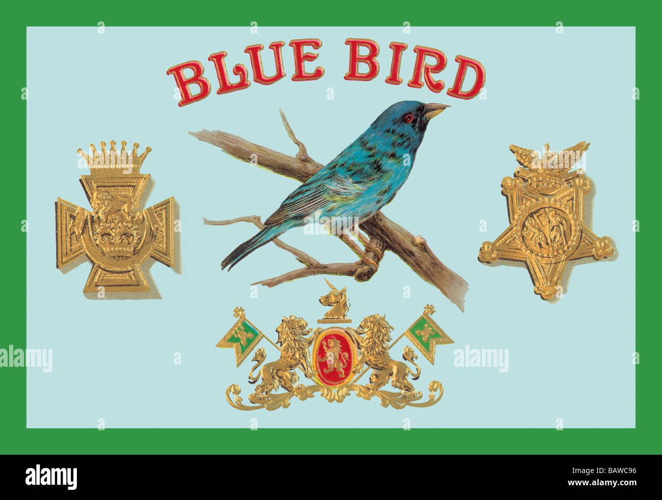 Smoking bird hi-res stock photography and images - Alamy