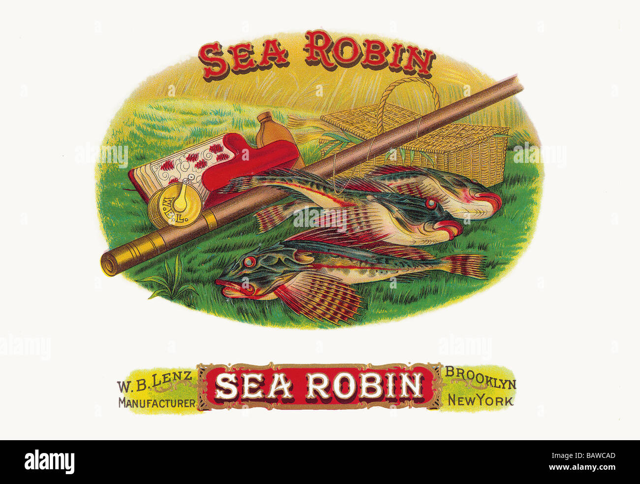 Cigar fish hi-res stock photography and images - Alamy